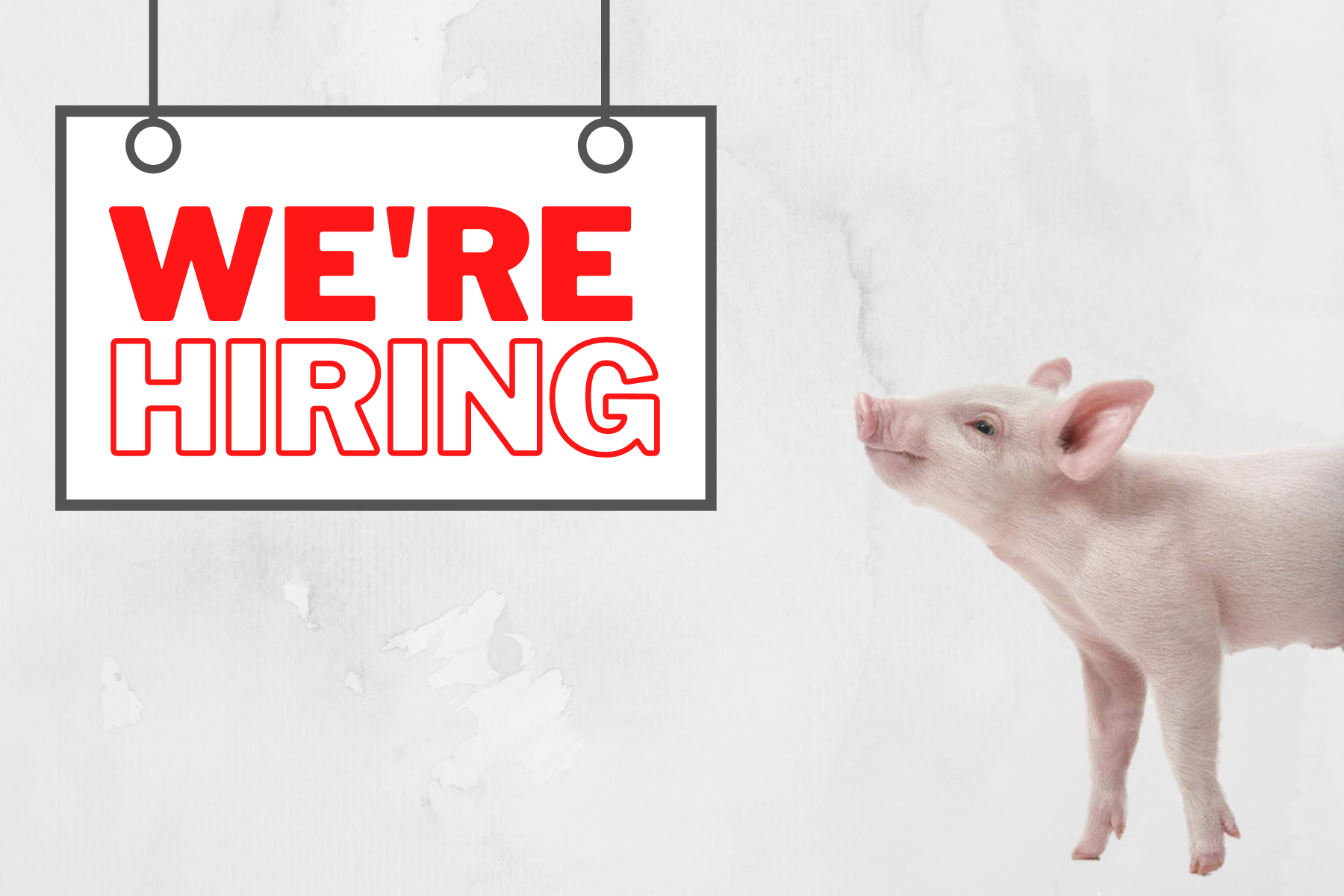 November 2020 Newsletter | PigCHAMP.com