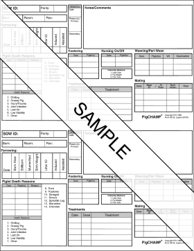 January 2020 Newsletter | PigCHAMP.com